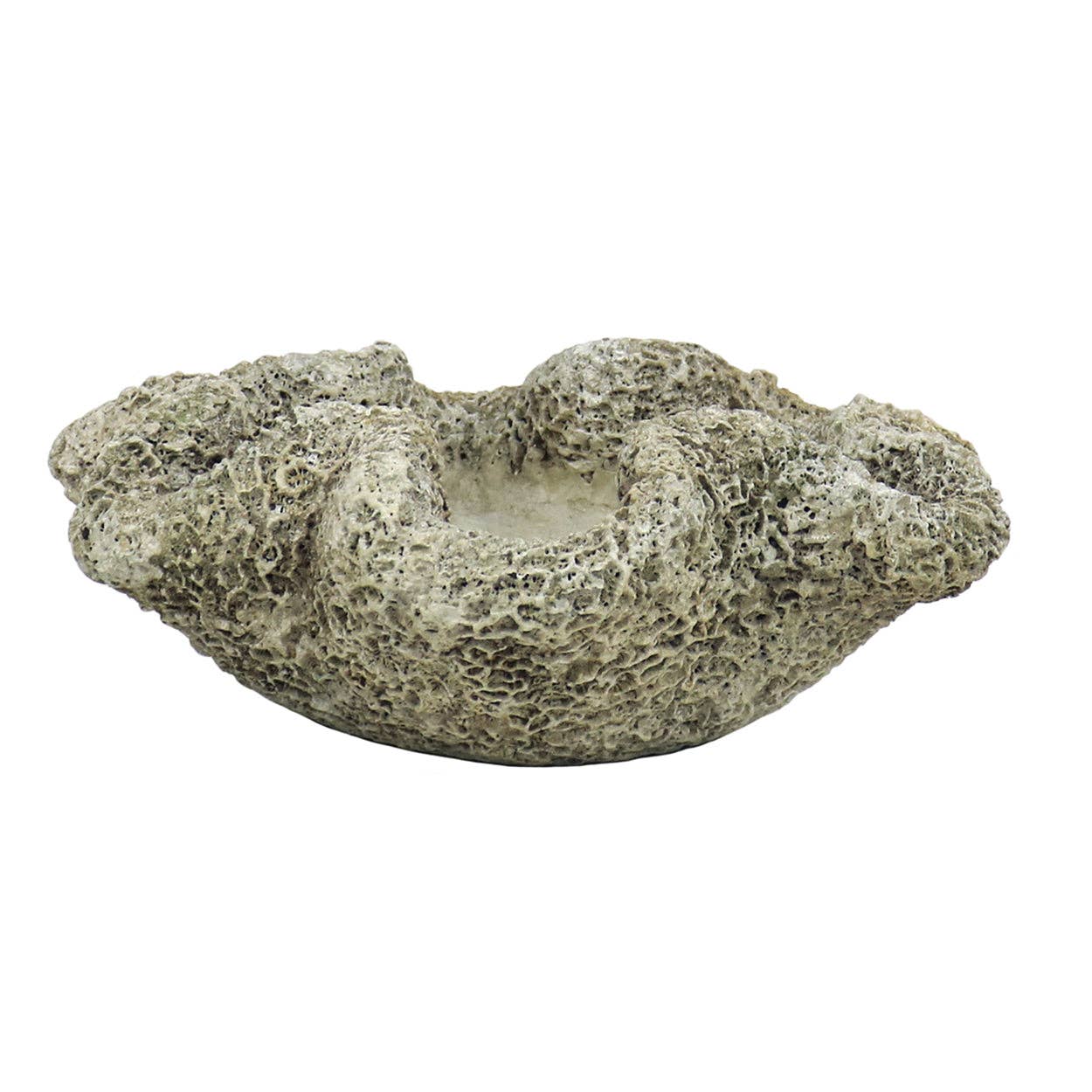 cast concrete clam shell wavy | The Vintage Caliber